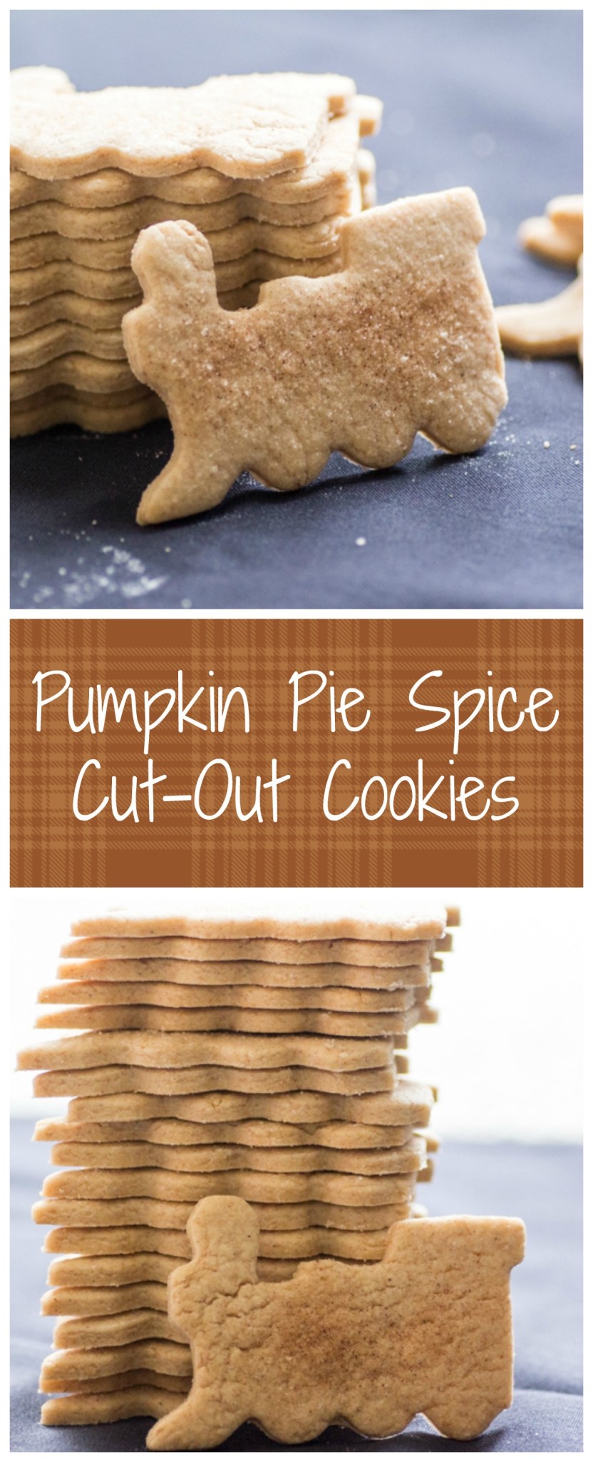 Pumpkin Pie Spice Cut-Out Cookies | Sew You Think You Can Cook