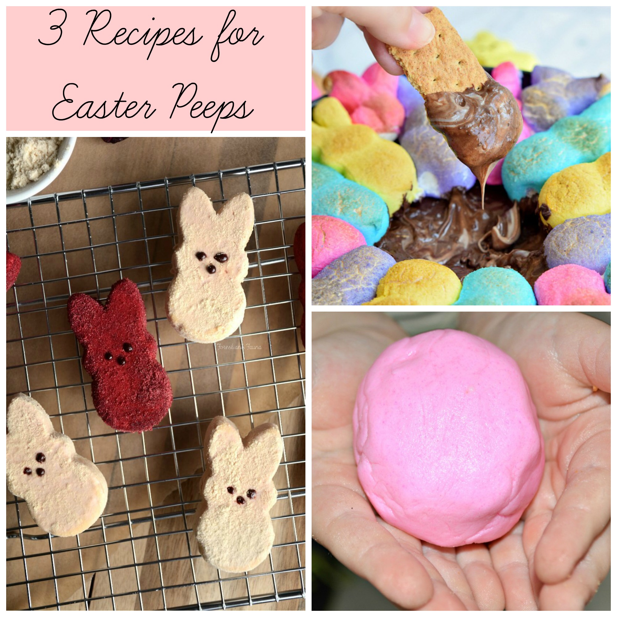 Kid-Friendly Easter Round-Up | Sew You Think You Can Cook